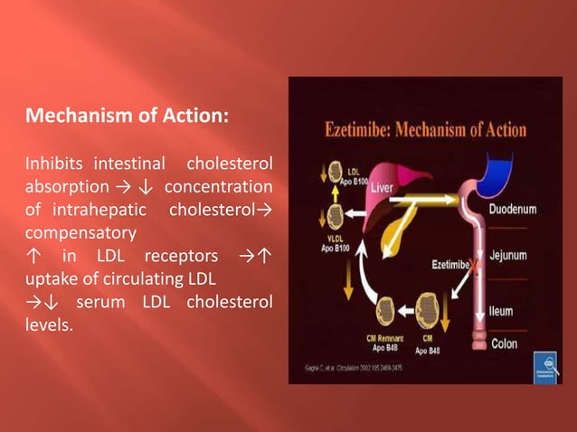 Hyperlipidemia | PPTX | Heart and Cardiovascular Diseases | Diseases ...