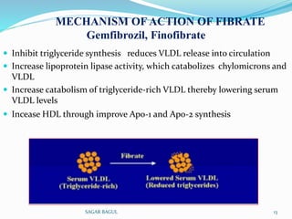 Hyperlipidemia | PPTX