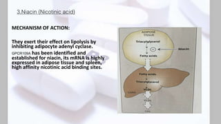 Hyperlipidemia pharmacotherapy | PPTX