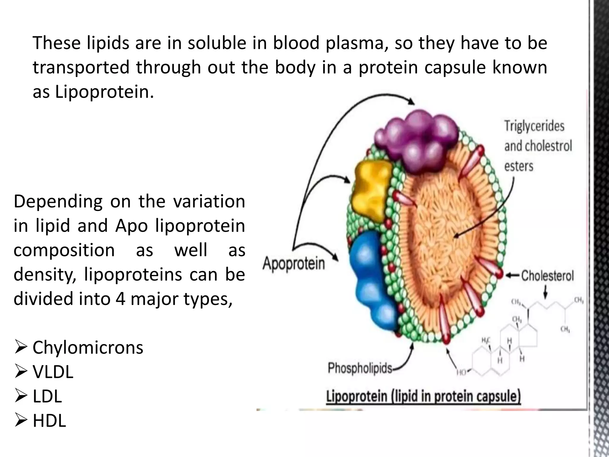 Hyperlipidemia | PPTX
