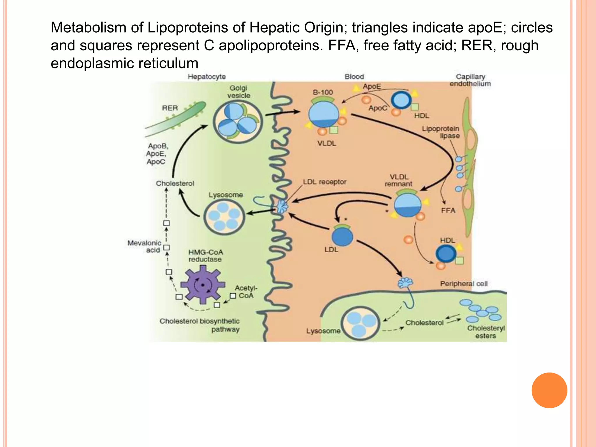hyperlipidemic drugs..pptx