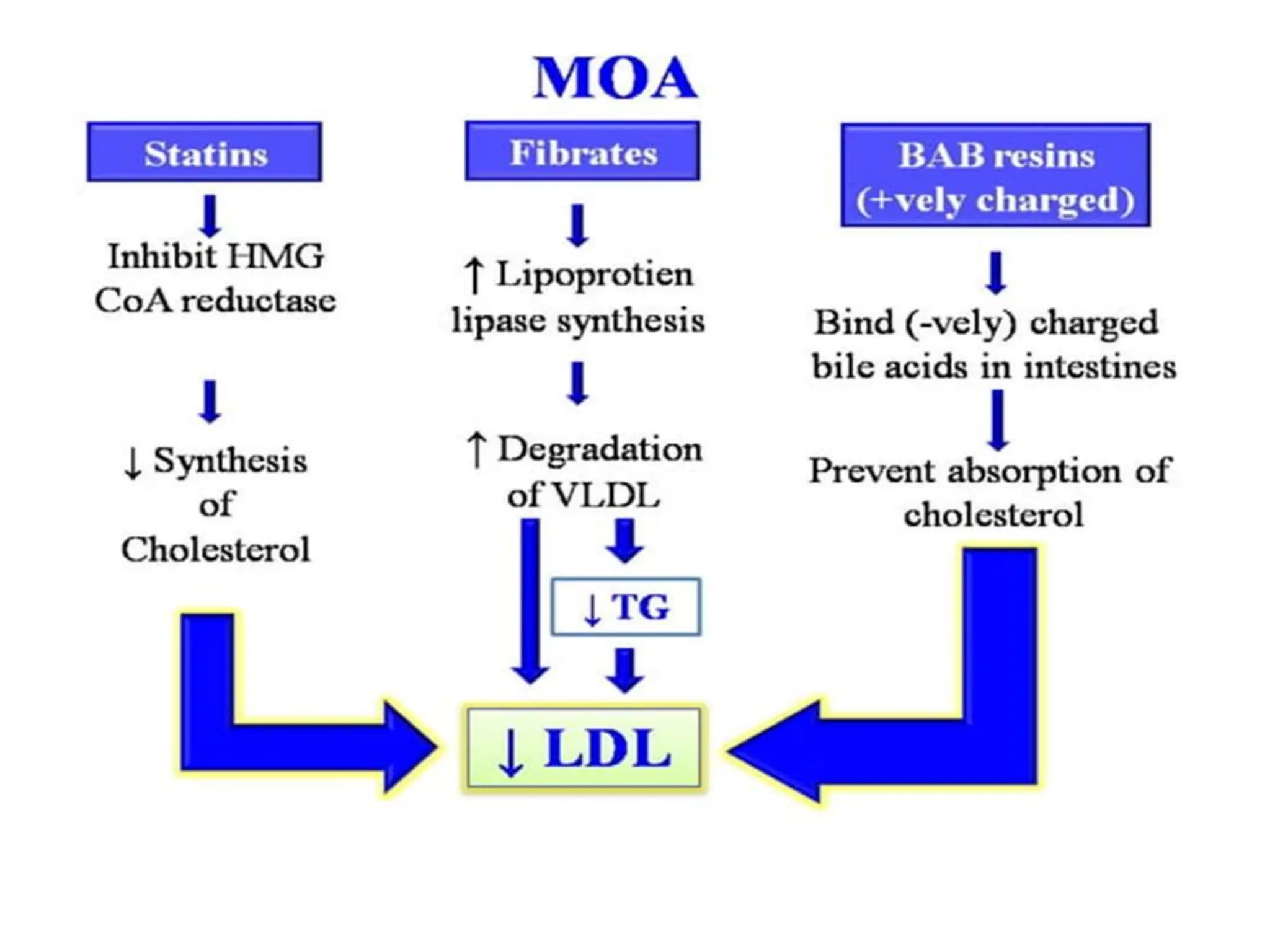 Drugs Used for the Hyperlipidemic drugs, HMG-CoA Reductase Inhibitor ...