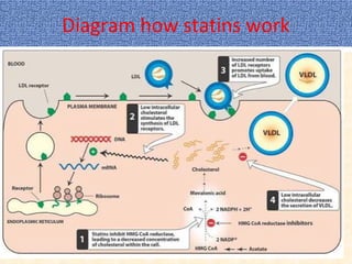 Antihyperlipidemic drugs rahul sharma | PPT