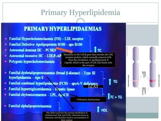 Hyperlipidimea | PPTX