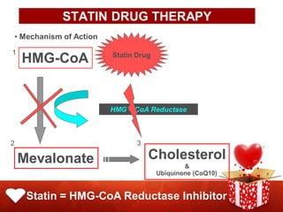 Hyperlipidimia and Statins | PDF