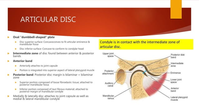 Hypermobility of TMJ | PPTX | Death, Injury, or Military Conflict ...