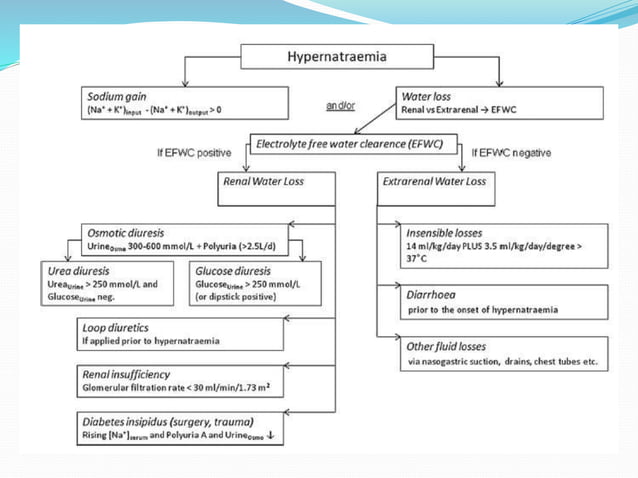 Hypernatremia | PPTX | Blood Disorders | Diseases and Conditions