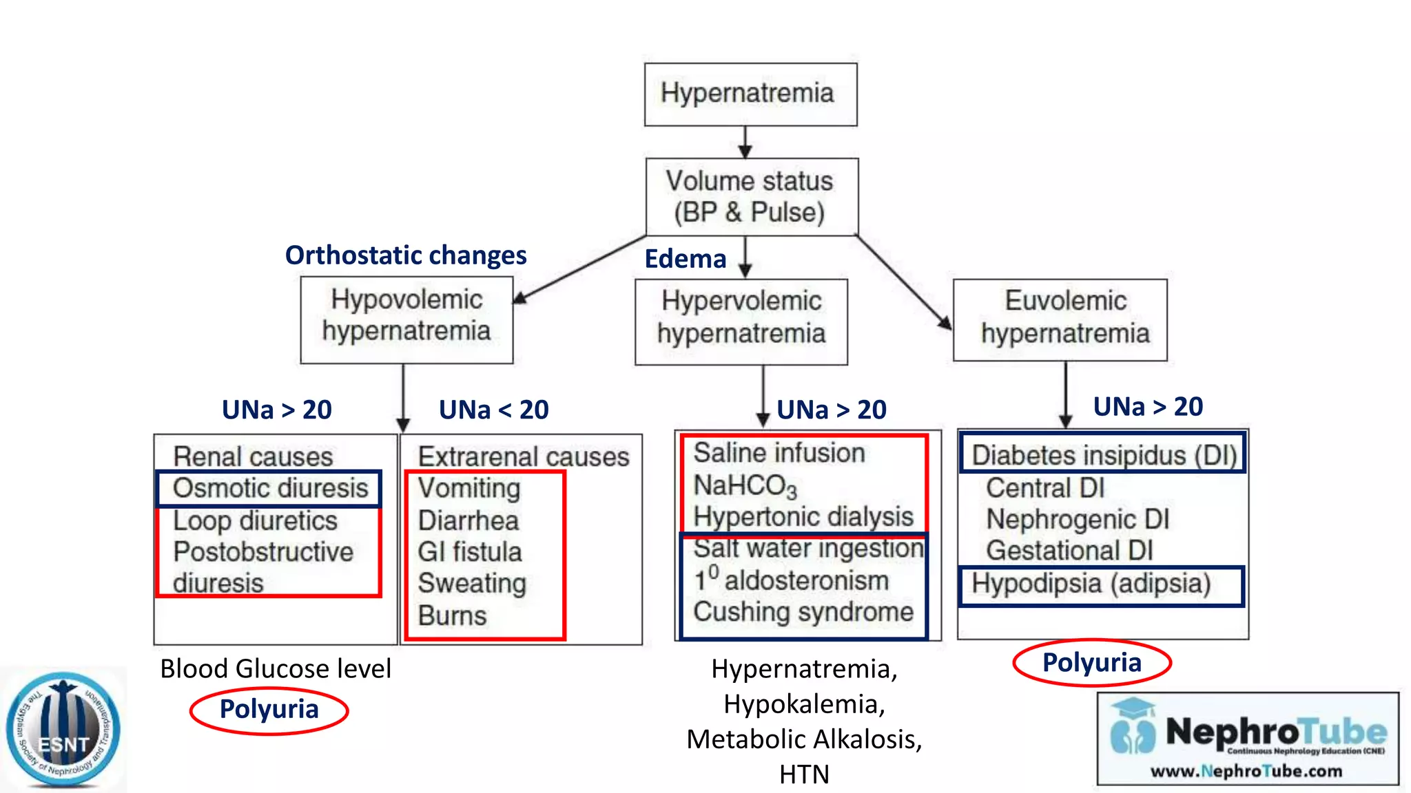 Hypernatremia - Stepwise Practical Approach - Dr. Gawad | PPTX