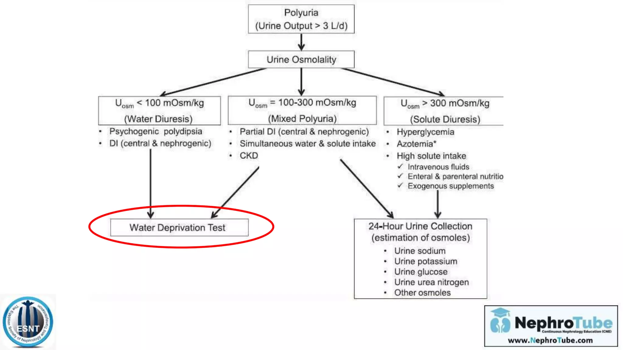 Hypernatremia - Stepwise Practical Approach - Dr. Gawad | PPTX