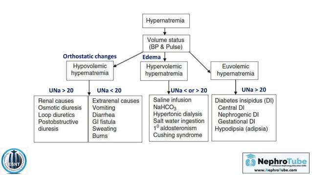 Hypernatremia - Stepwise Practical Approach - Dr. Gawad | PPTX