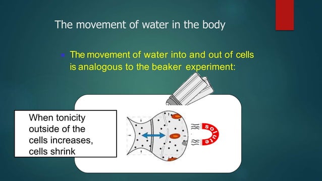 Disorder of water handling: Hypernatremia for residents.pptx