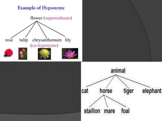Hypernyms ppt. | PPTX
