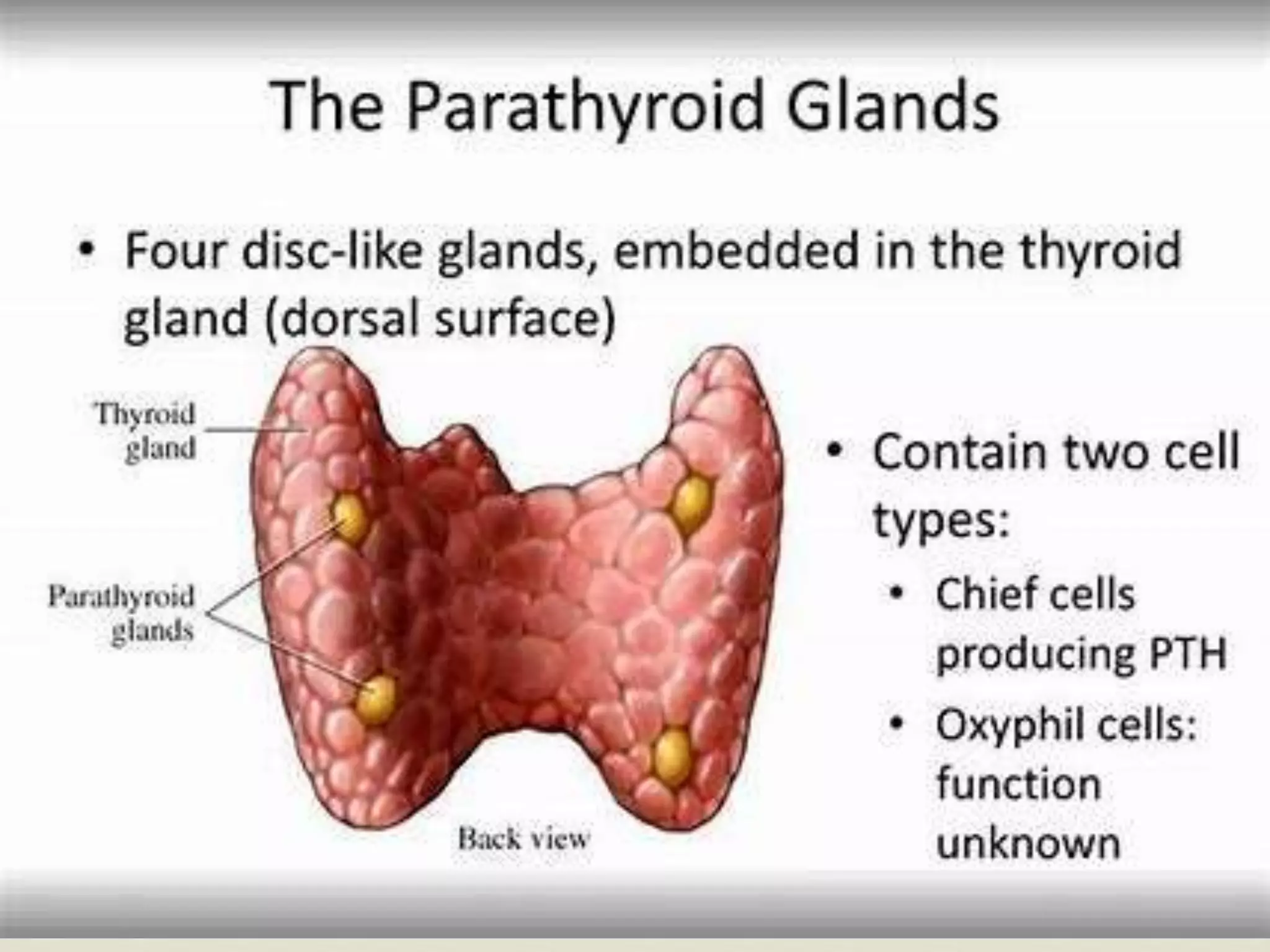 HYPERPARATHROIDISM and hypopera PPT.pptx