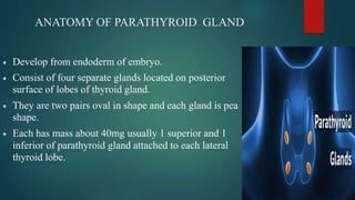 HYPERPARATHYROIDISM & HYPOPARATHYROIDISM.pptx