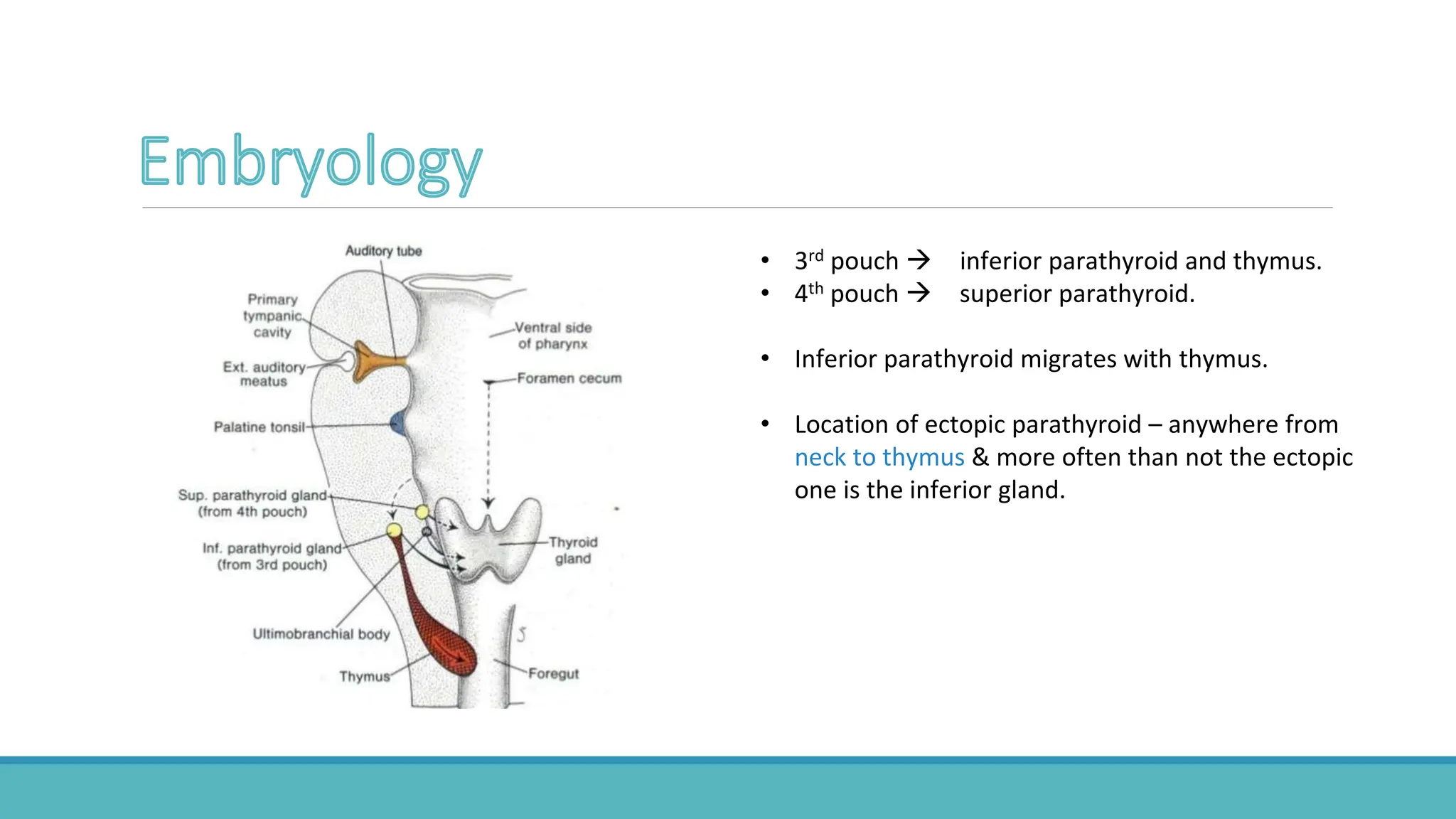 hyperparathyroidism imaging metabolic bone disease.pptx