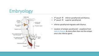 hyperparathyroidism imaging metabolic bone disease.pptx