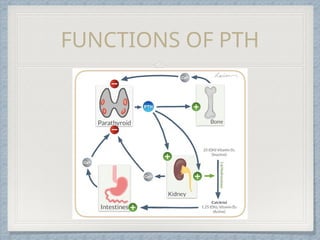 An approach to hyperparathyroidism. . | PPTX