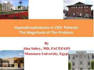 Hyperphosphatemia in CKD patients; The Magnitude of The Problem - Prof ...