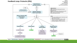 Hyperpituitarism.pptx for nursing studen | PPTX