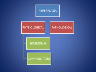 Hyperplasia | PPTX