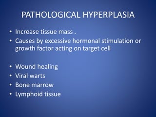 Hyperplasia | PPTX