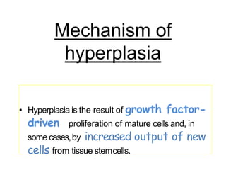 Hyperplasia | PPT
