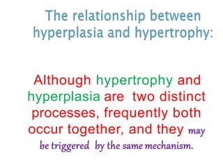 Hyperplasia | PPT