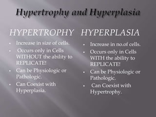 hyperplasia PATHOLOGY BY TALHA SHAHID.pptx