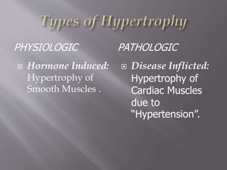 hyperplasia PATHOLOGY BY TALHA SHAHID.pptx