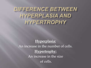 hyperplasia PATHOLOGY BY TALHA SHAHID.pptx