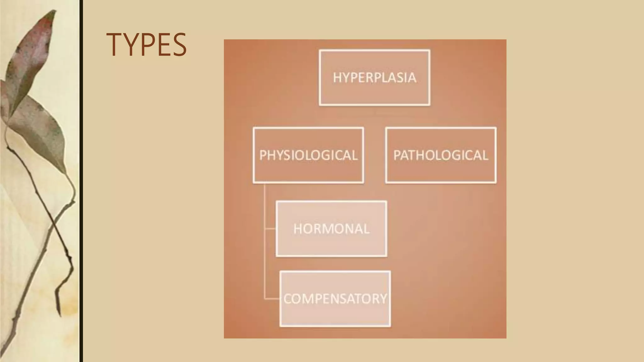 Hyperplasia (1) | PPTX