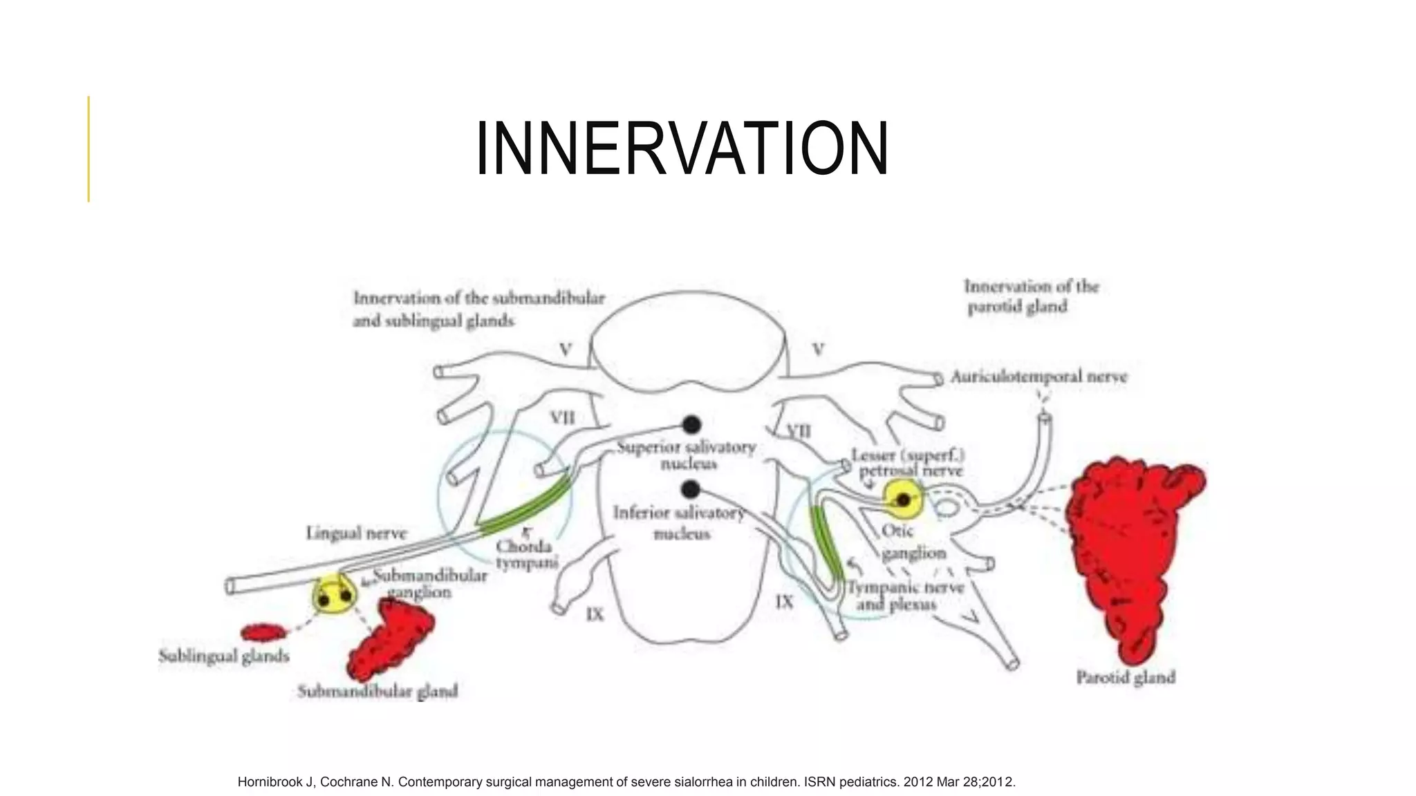 Hypersalivation | PPTX