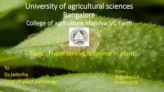 Hypersensitive response ( HR ) in plants | PPTX