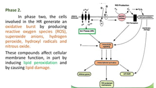 Hypersensitive response ( HR ) in plants | PPTX