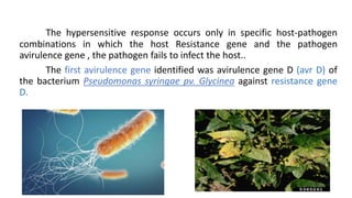 Hypersensitive response ( HR ) in plants | PPTX