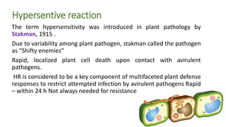 Hypersensitive response ( HR ) in plants | PPTX