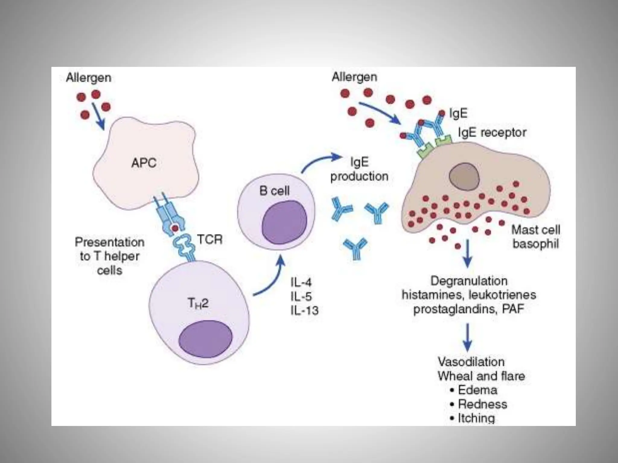 MECHANISMS OF DIFFERENT TYPES OF HYPERSENSITIVITY REACTIONS.pptx