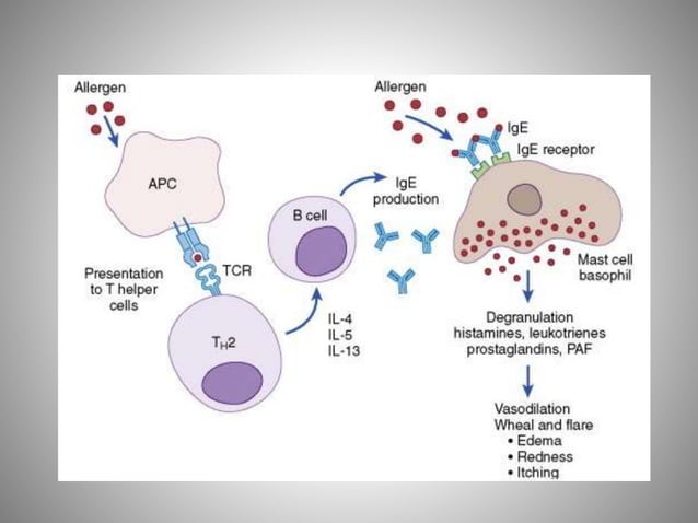 MECHANISMS OF DIFFERENT TYPES OF HYPERSENSITIVITY REACTIONS.pptx