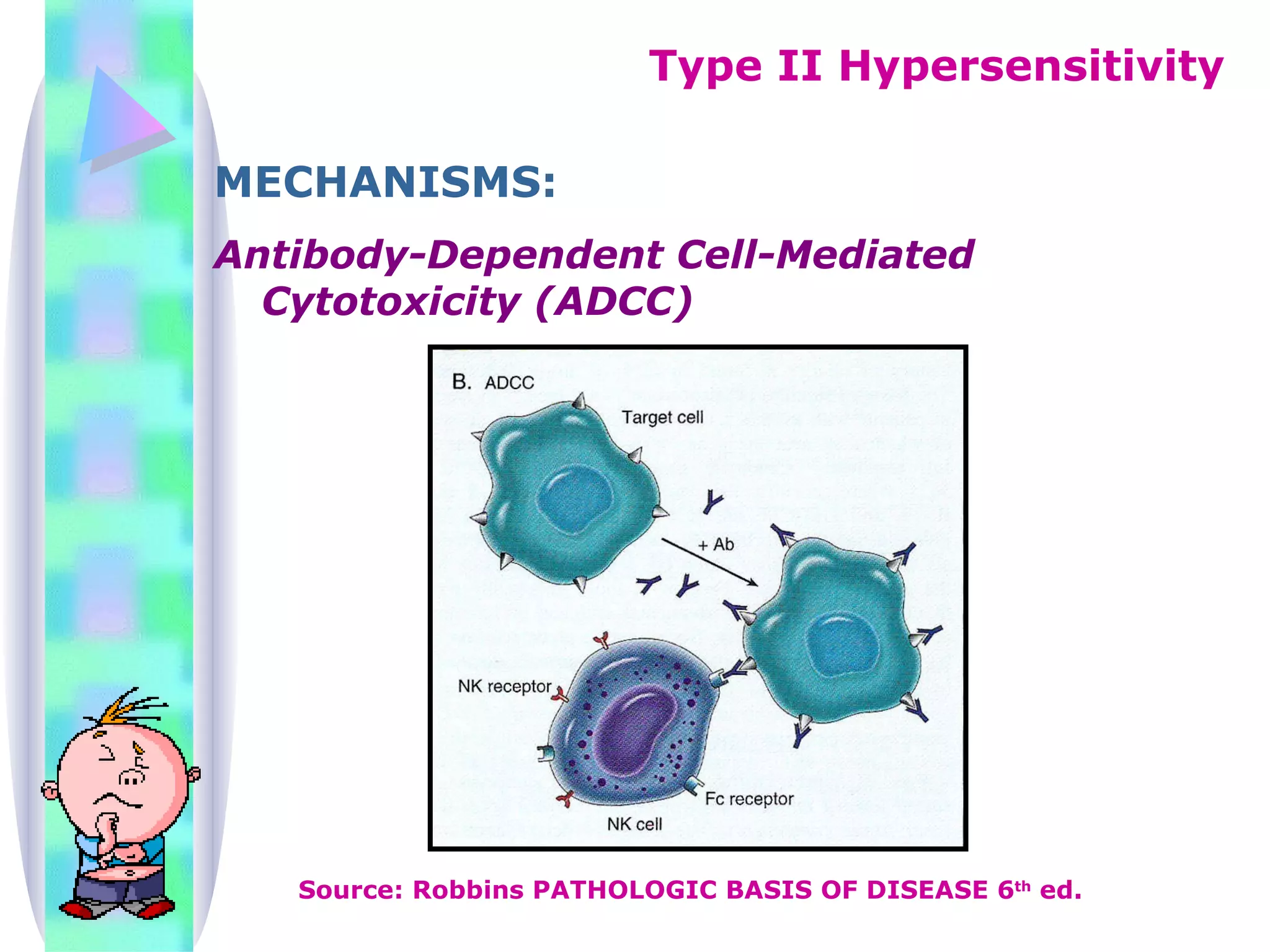 Hypersensitivity | PPT