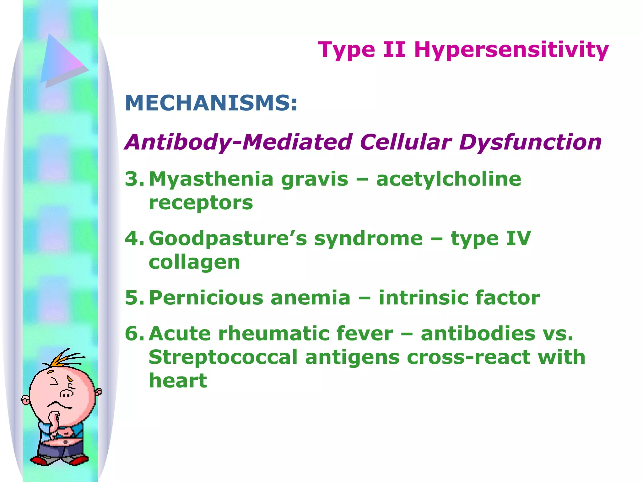 Hypersensitivity | PPT
