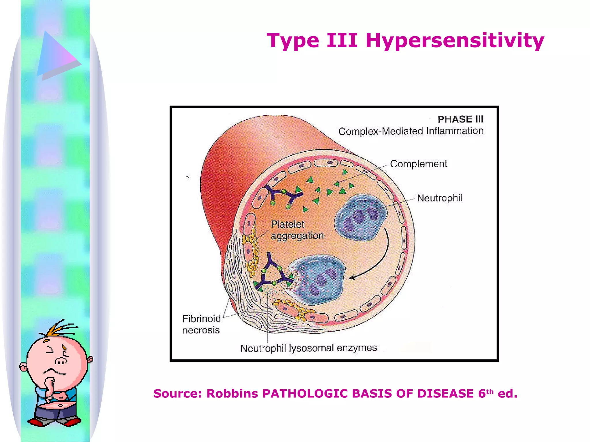 Hypersensitivity | PPT