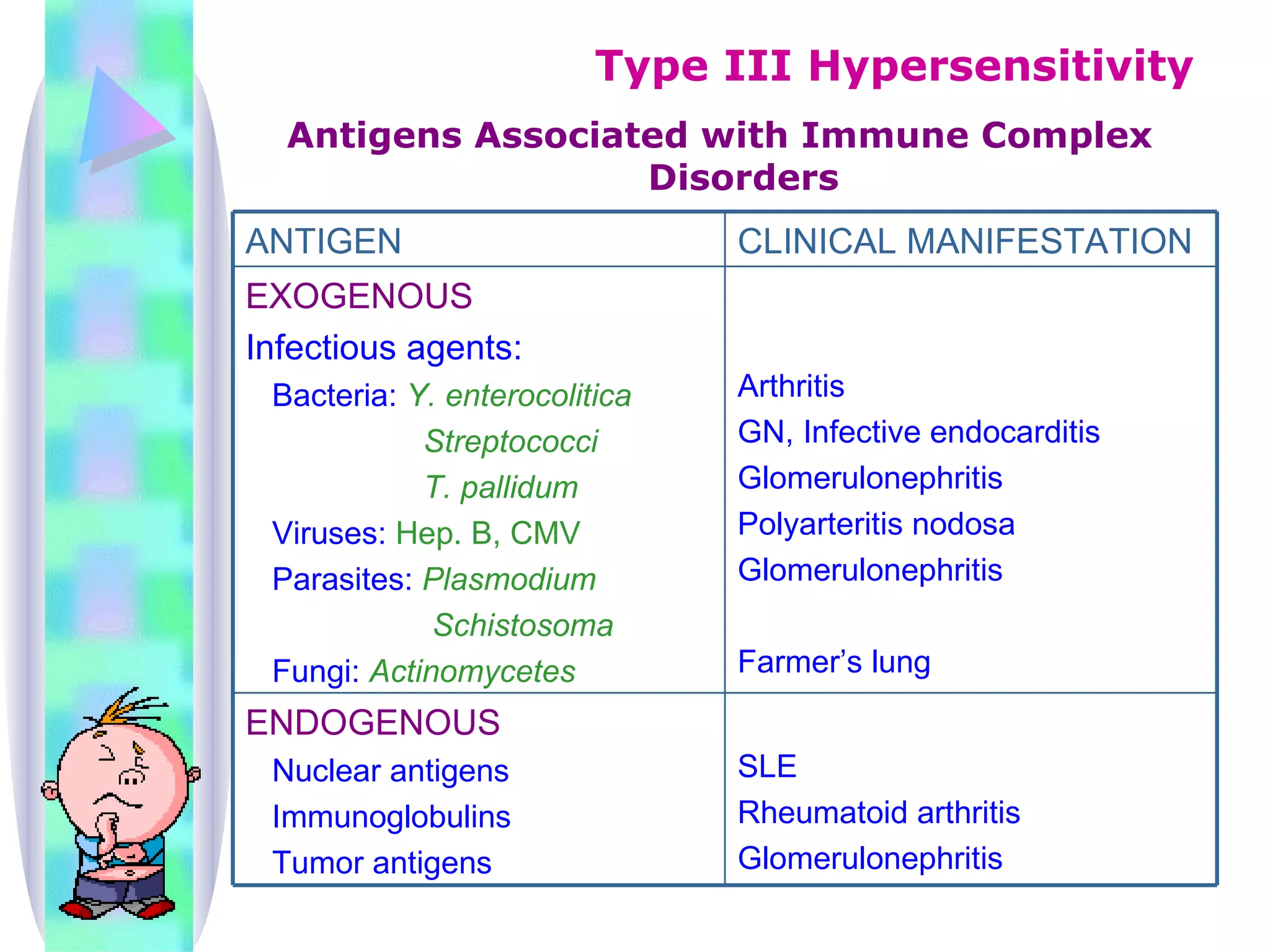 Hypersensitivity | PPT