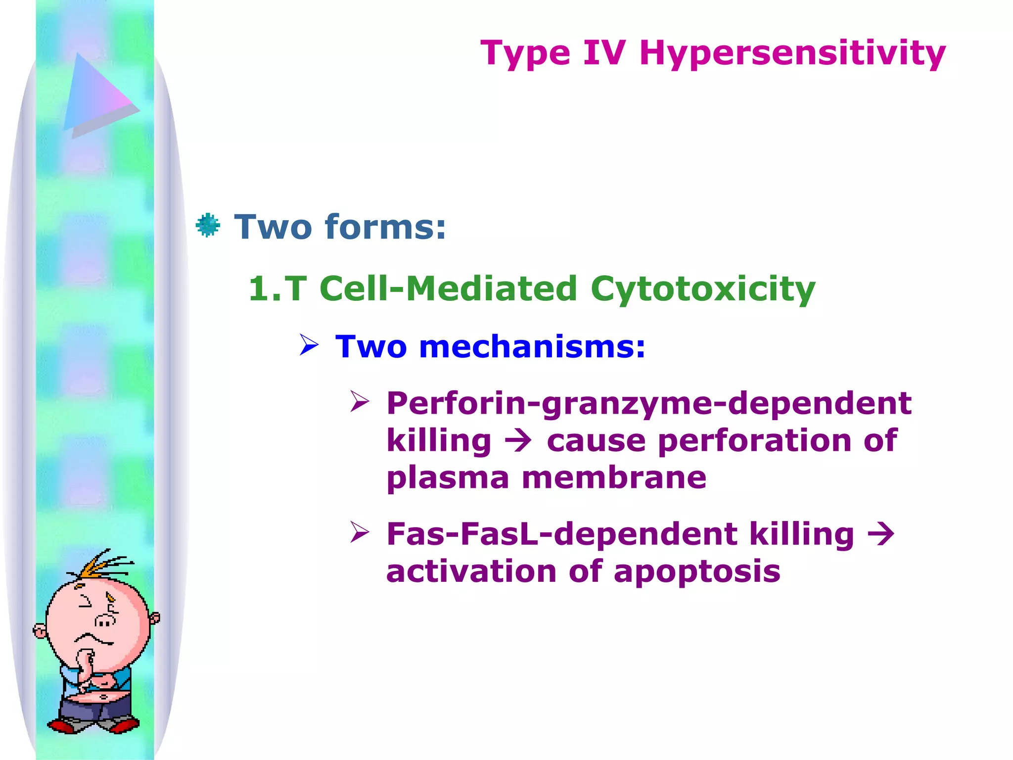 Hypersensitivity | PPT