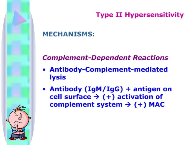 Hypersensitivity | PPT | Allergies | Diseases and Conditions