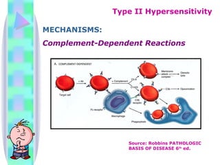 Hypersensitivity | PPT