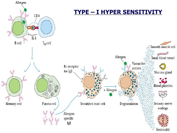 Hypersensitivity