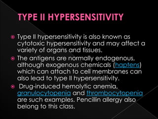 Hypersensitivity | PPTX | Allergies | Diseases and Conditions