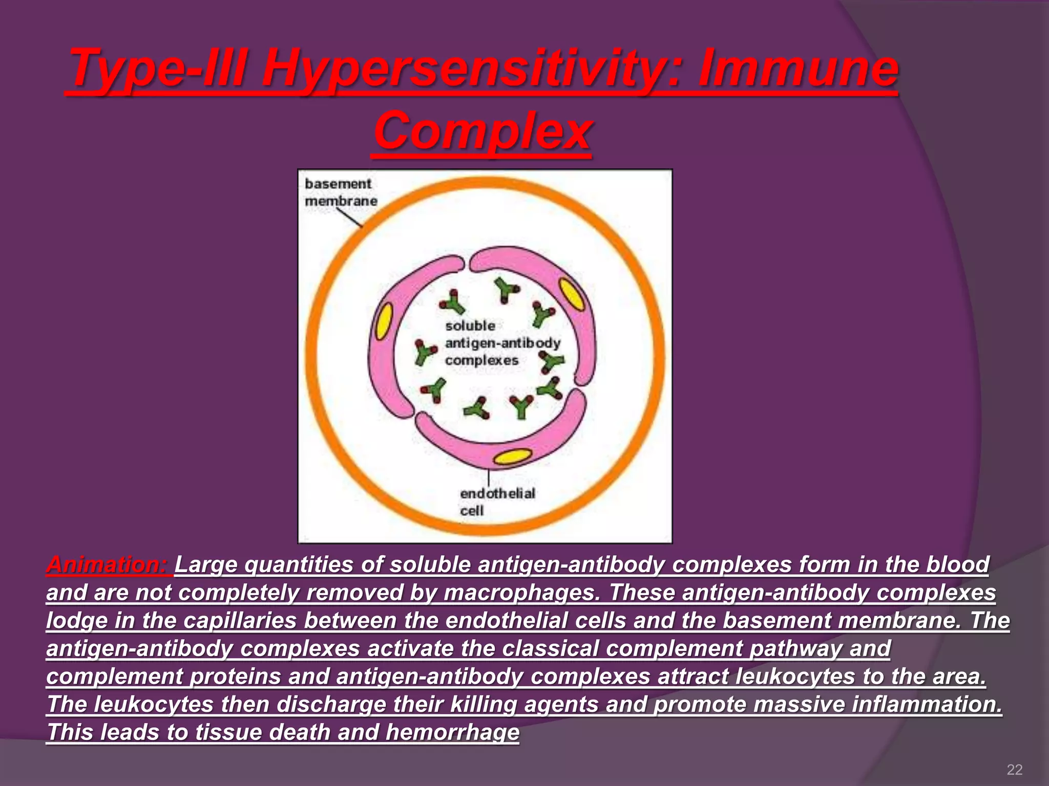 Hypersensitivity | PPTX