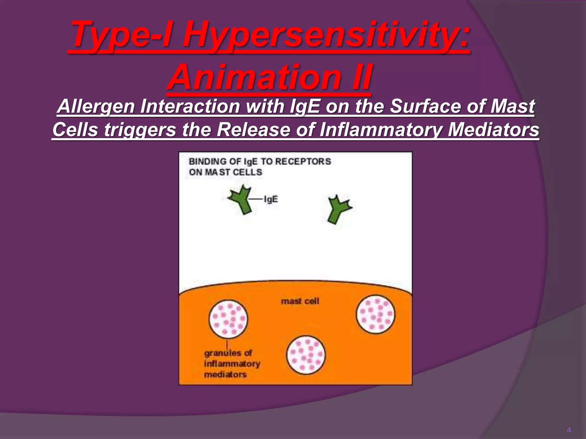 Hypersensitivity | PPTX