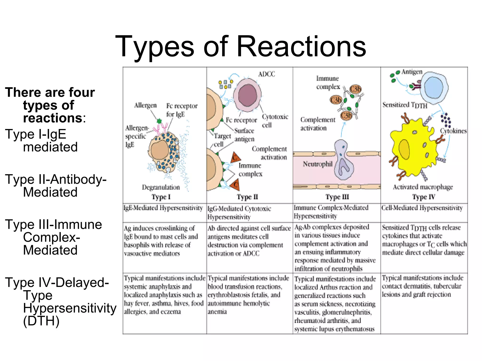 Hypersensitivity reaction pathology microbiology immunity | PPT